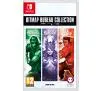 Bitmap Bureau Collection Gra na Nintendo Switch - Dobra cena, Opinie w ...