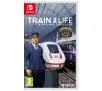 Train Life A Railway Simulator Gra na Nintendo Switch w Sklepie RTV ...