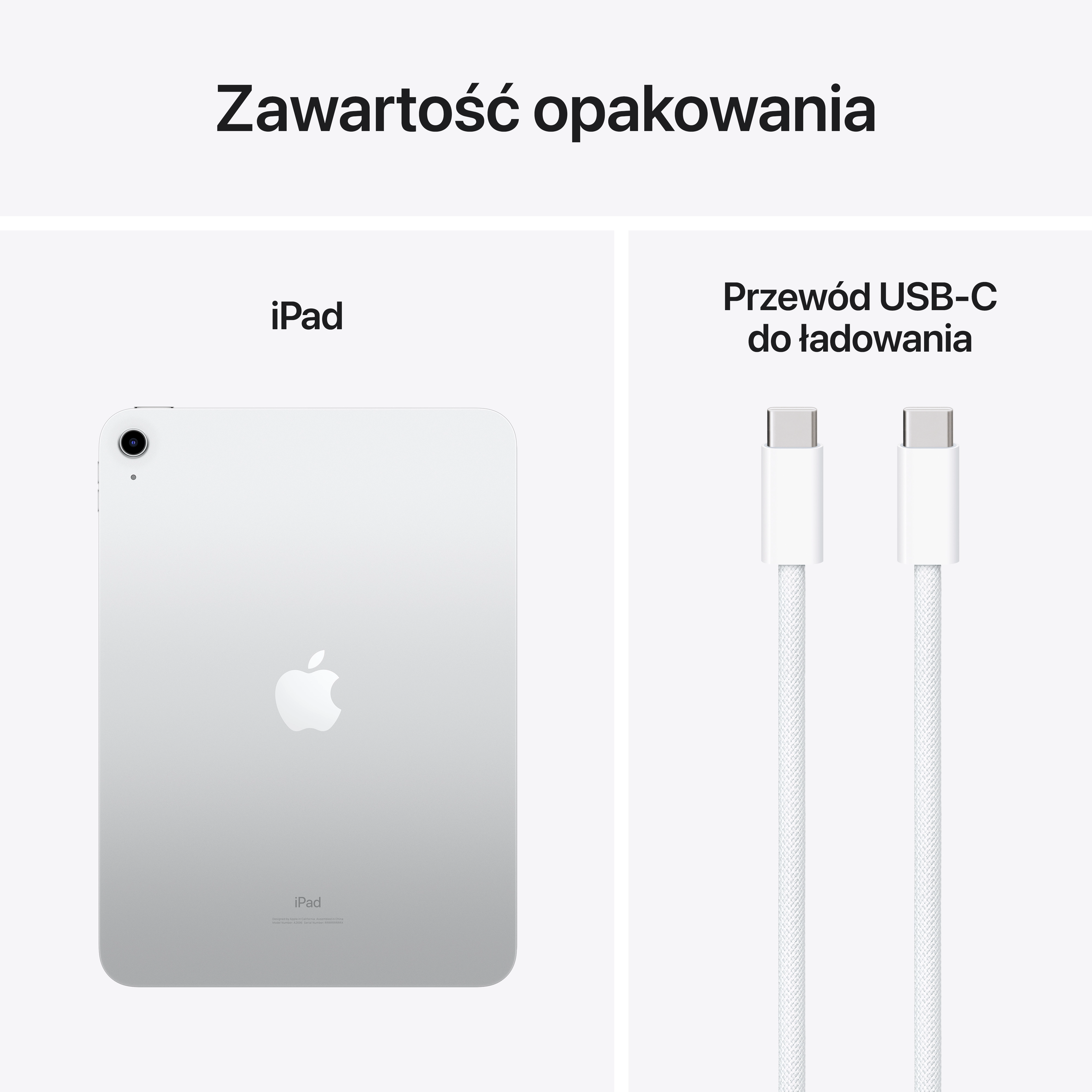Apple iPad 10gen V2 10,9" 64GB Wi-Fi Srebrny - Opinie, Cena - RTV EURO AGD