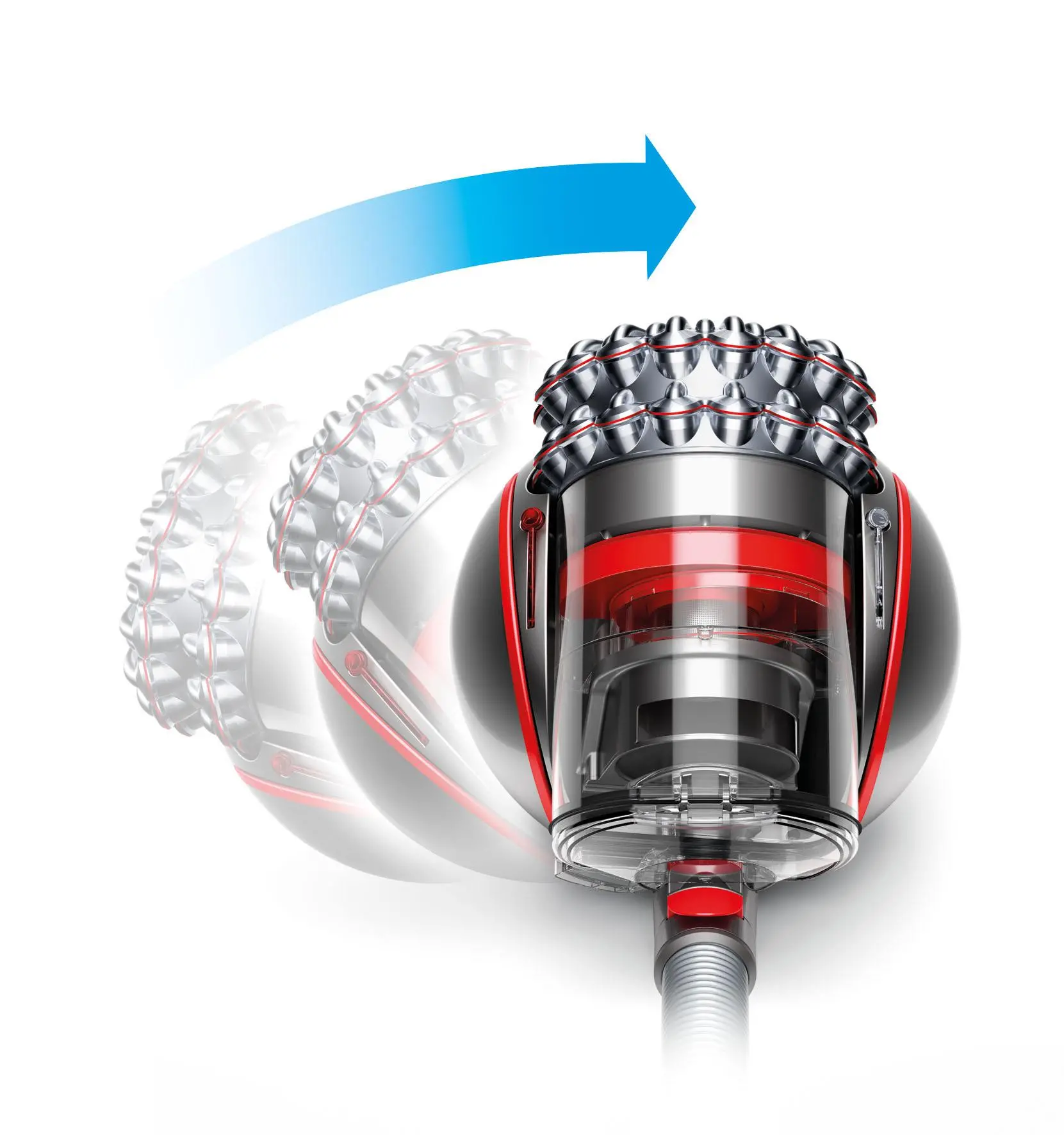 Dyson ball animal pro store